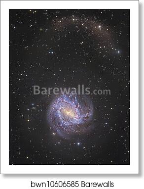 Messier 83 and its northern stellar tidal stream by Robert Gendler/Stocktrek Images, Art Print ...