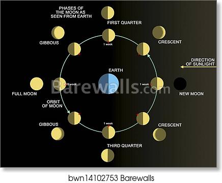 A diagram showing the phases of the Earth's moon by Ron Miller ...
