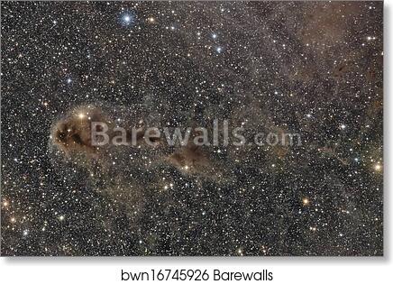 Dark Nebula LDN 1250 by Reinhold Wittich/Stocktrek Images, Art Print ...