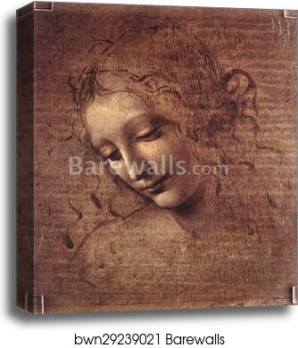 La Scapigliata - Female head by Leonardo Da Vinci, Canvas Print | Barewalls Posters & Prints ...